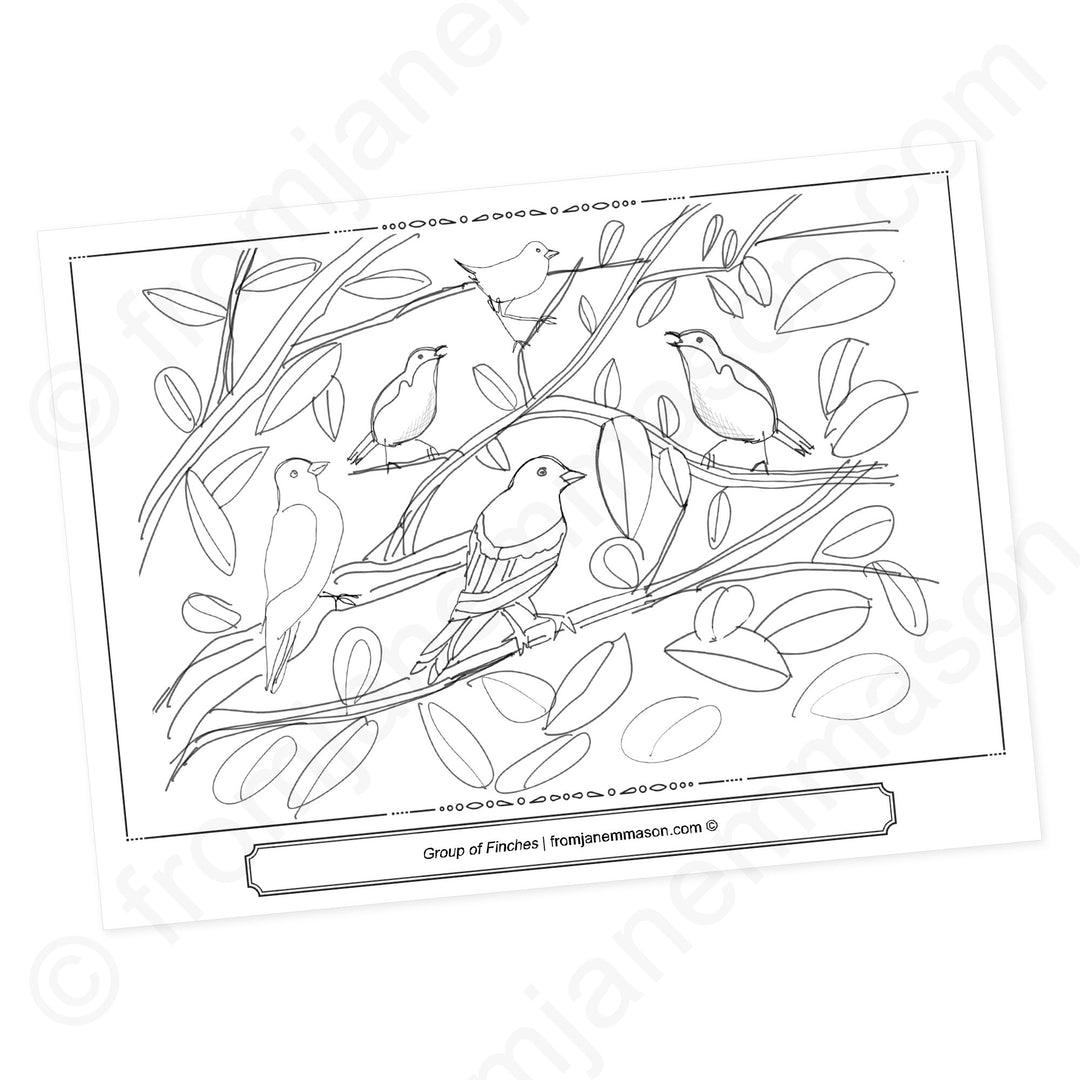 birds coloring book pages