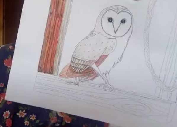 coloring pages of owl barn