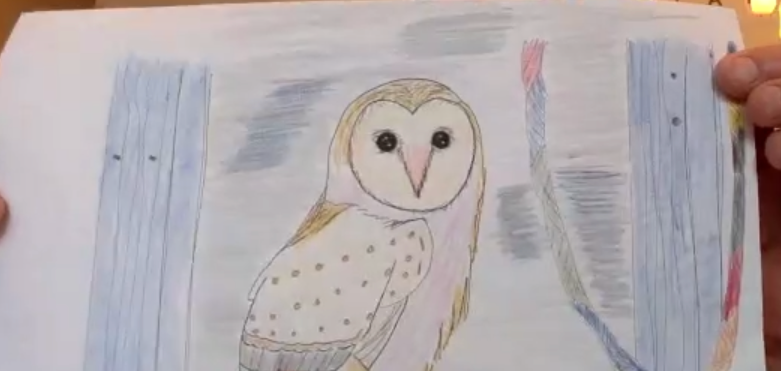 coloring pages of owl barn